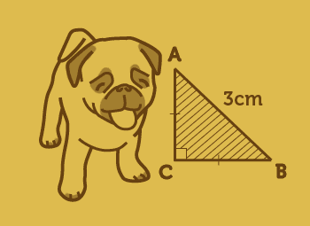 Year 7 Maths Practice Quiz | StudyPug