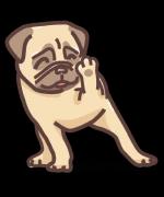 Start Your Math Success | StudyPug