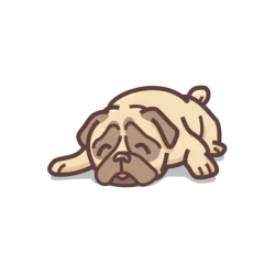 Frequently Asked Questions | StudyPug